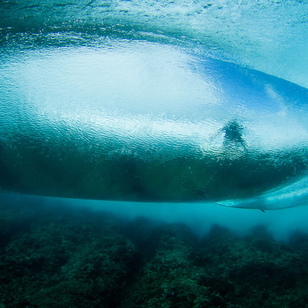 HOW TO PROPERLY CLEAN A REEF CUT – AST Adventures
